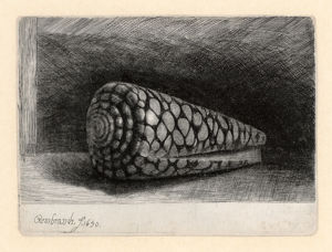Rembrandt: Masterpieces in Black and White | Taft Museum of Art