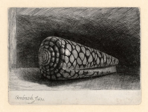 Rembrandt: Masterpieces in Black and White | Taft Museum of Art