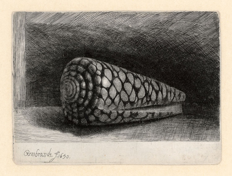 Rembrandt: Masterpieces in Black and White | Taft Museum of Art